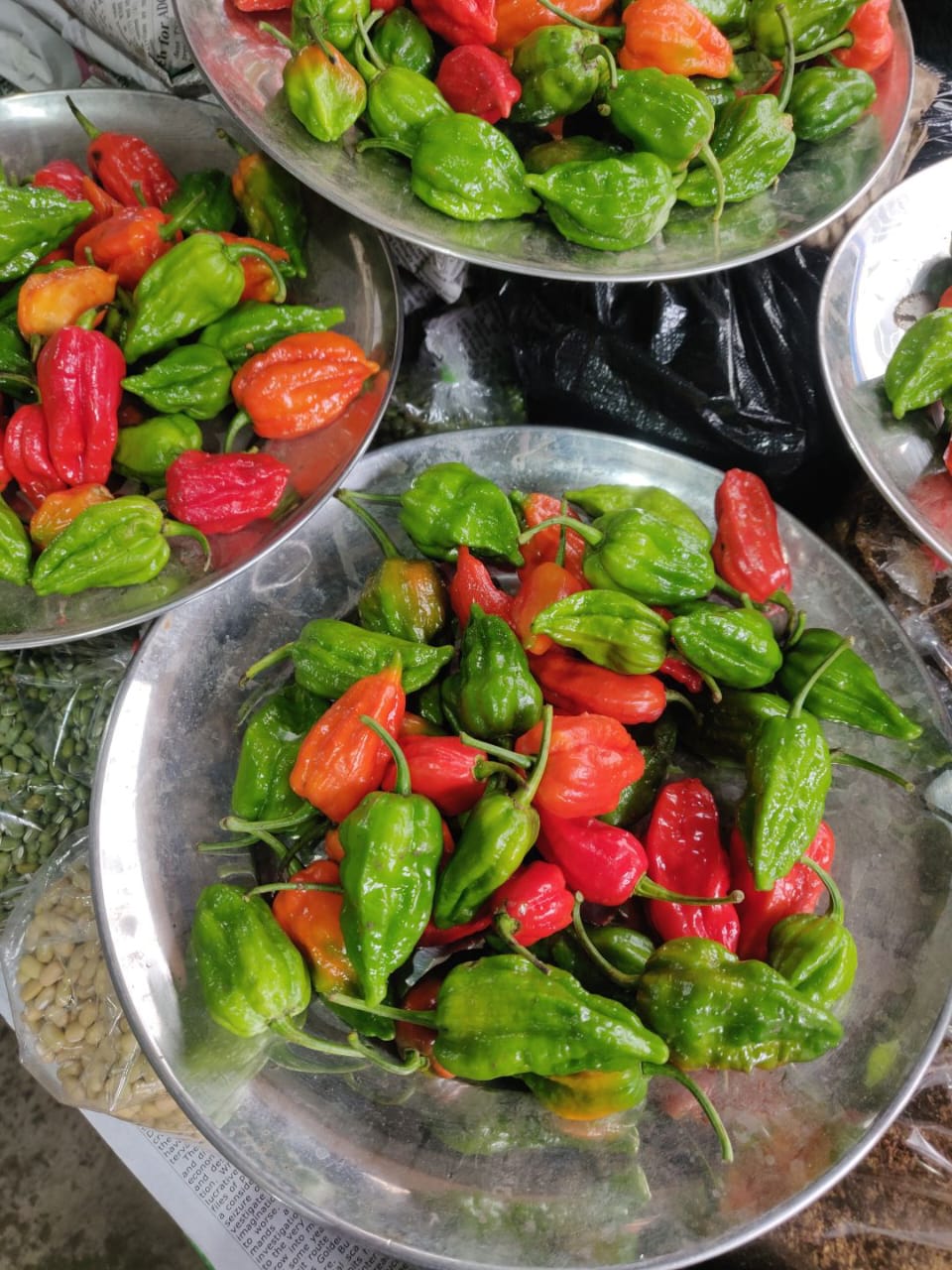 Land of spices and folklore | Curtain Call Adventures